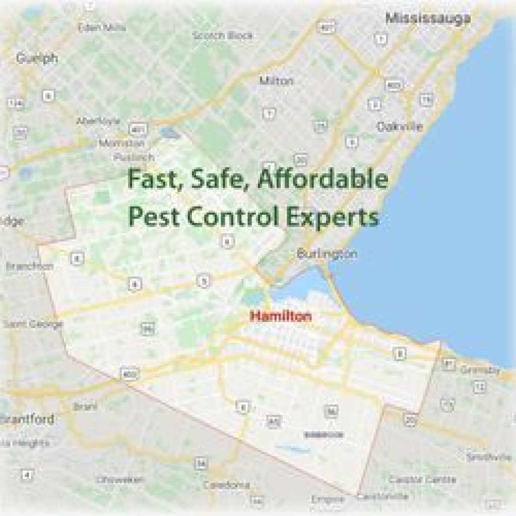 Bed bugs Home Inspection in Hamilton Ontario - Maximum Pest Control ...