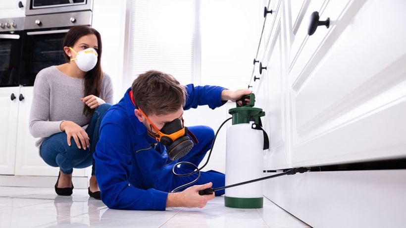How Beneficial is House Inspection For Pest Control - Maximum Pest ...