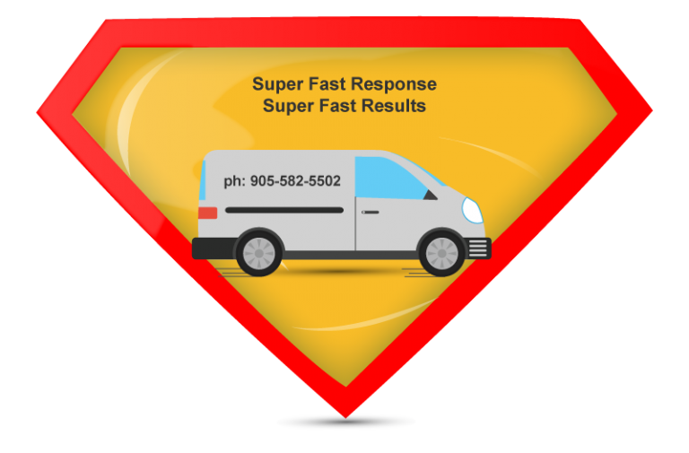 Thermal Extermination and Its Benefits for Eliminating Bed Bugs ...