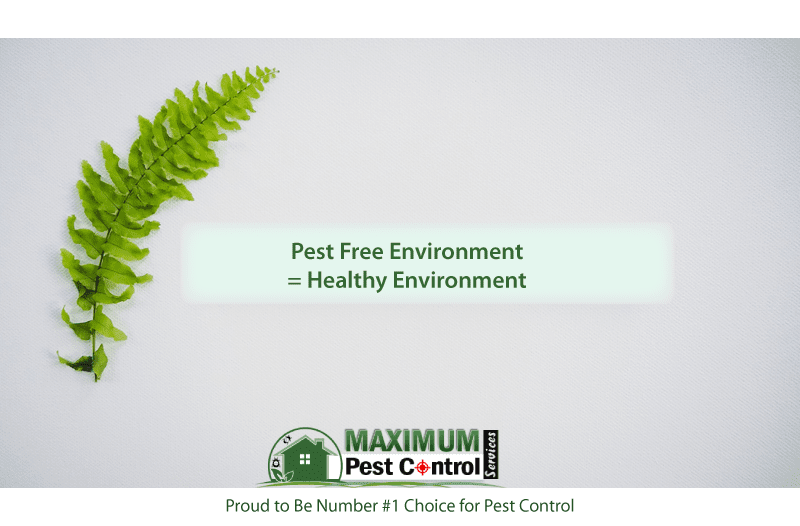The Link Between Pest Control and Human Health - Maximum Pest Control ...