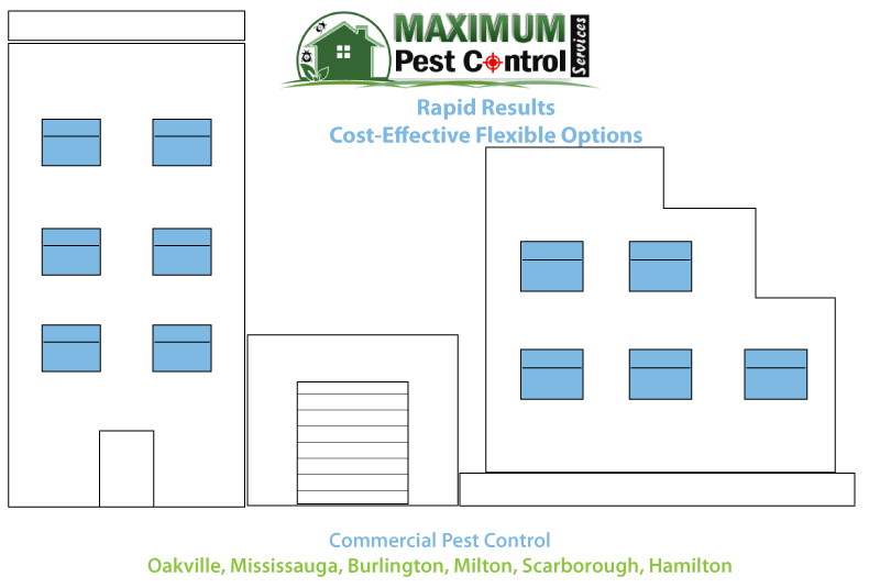Commercial Pest Control for a Restaurant Hotel and Warehouse - Maximum ...