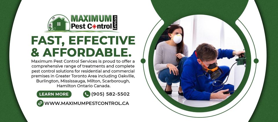 HOME - Maximum Pest Control Services