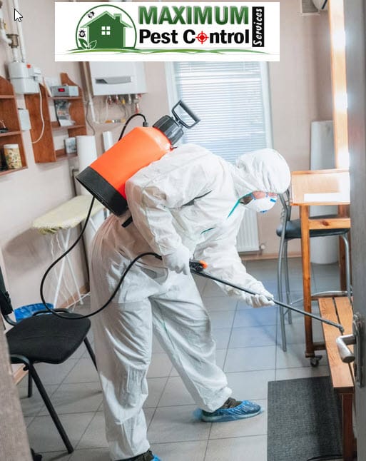 Blog - Maximum Pest Control Services