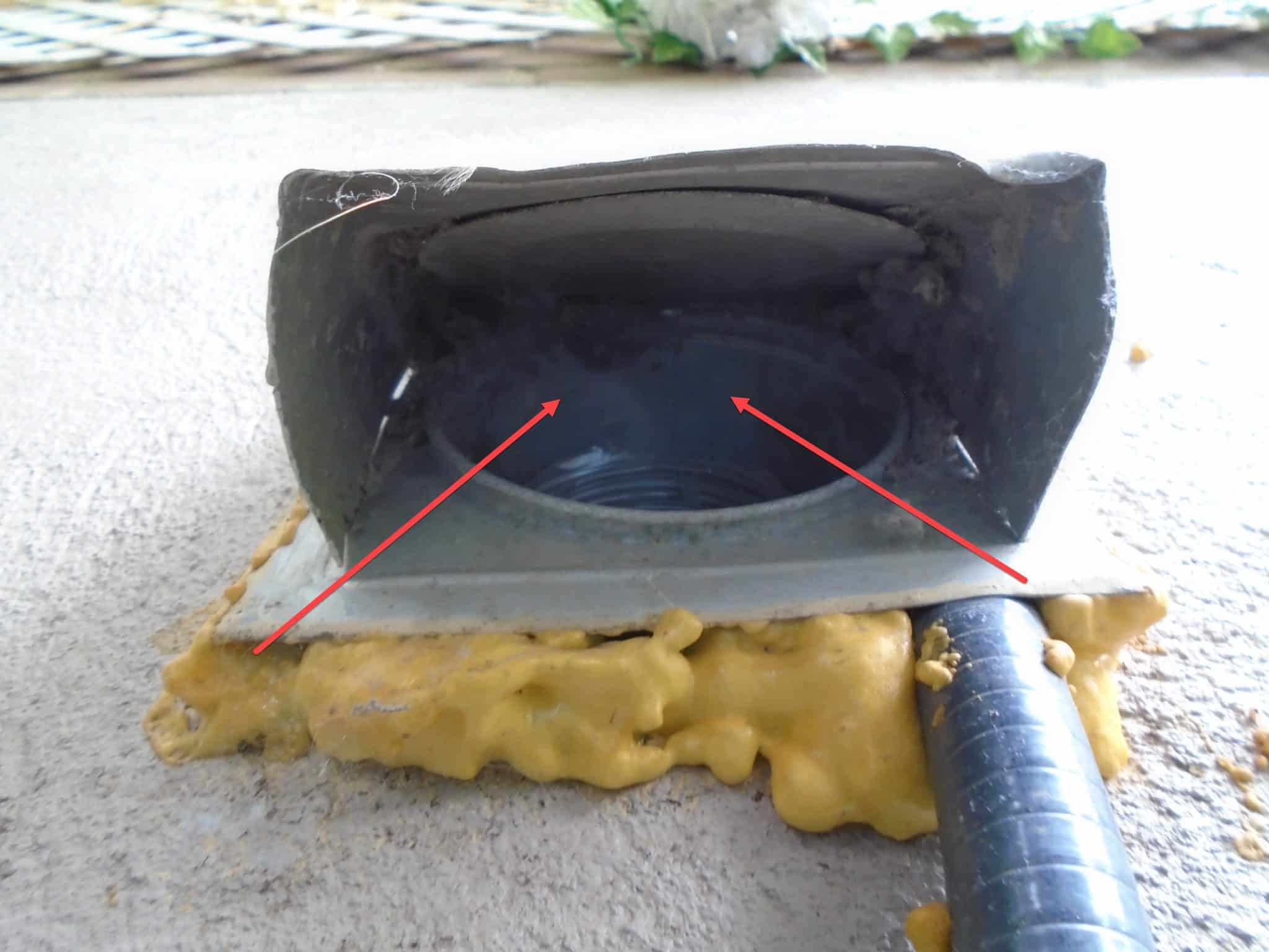 Keeping Mice and Rats Out of Your Warehouse - Maximum Pest Control Services