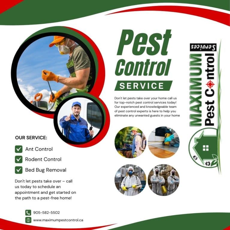 The Battle Against Pests: How to Safely and Effectively Control Mice ...