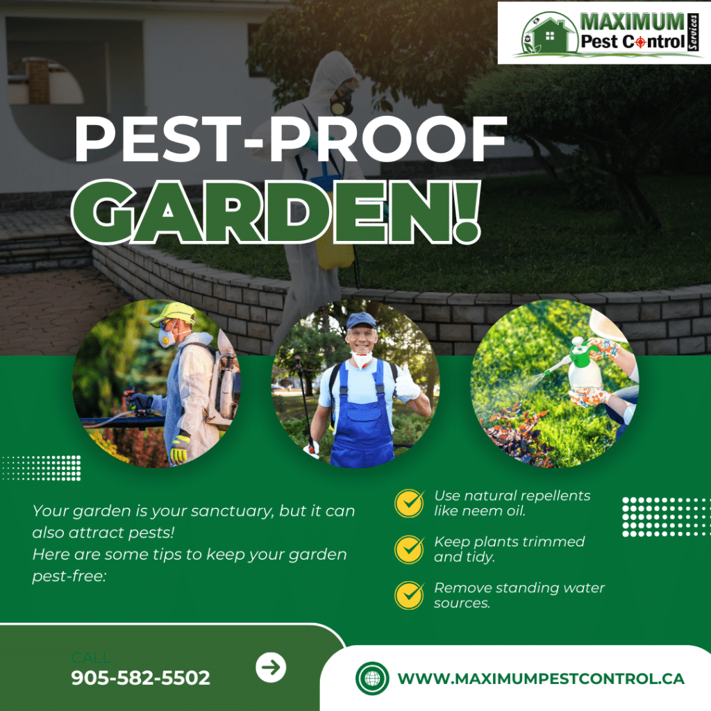 Managing High-Risk Pest Zones in Your Facility