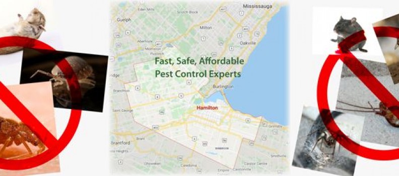 Hamilton Ontario Pest Control - Maximum Pest Control Services