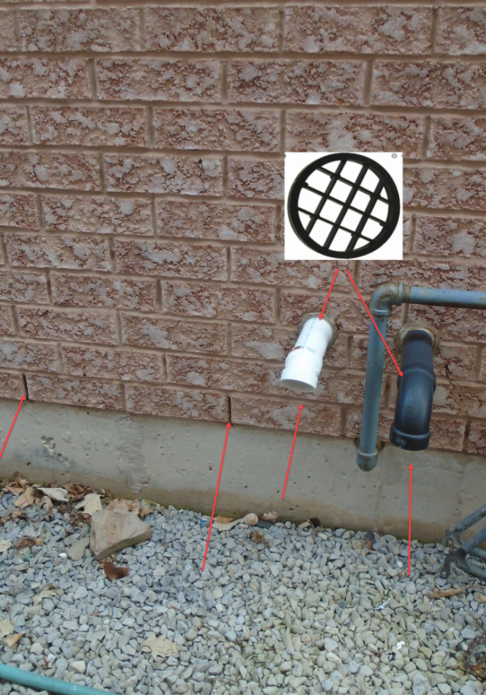 Maximum Pest Control Services - Affordable Pest Control Solutions